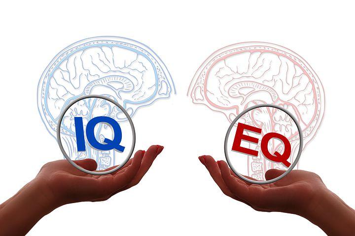 Understanding the Four Types of Intelligence: IQ, EQ, SQ, and AQ ...